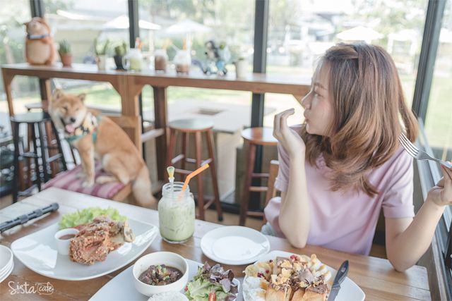 ชวนเล่นกับมะหมา ที่ 'Inu Machi Cafe' คาเฟ่สุนัขบรรยากาศชิลล์ ที่ไปแล้วต้องไปอีก!!